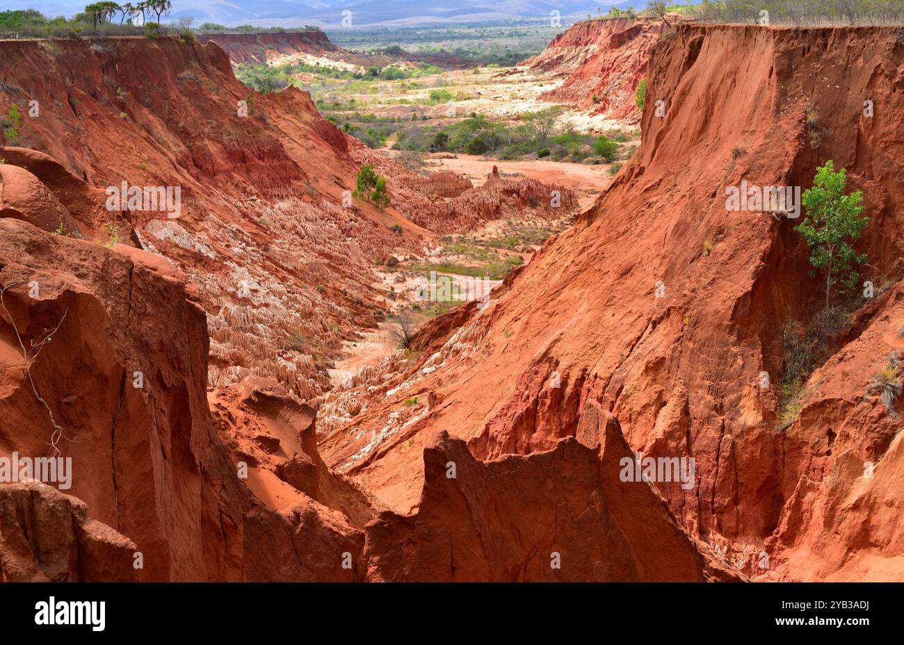 Tsingy Rouge (Red Tsingy) is an eroded laterite formation in Irodo ...
