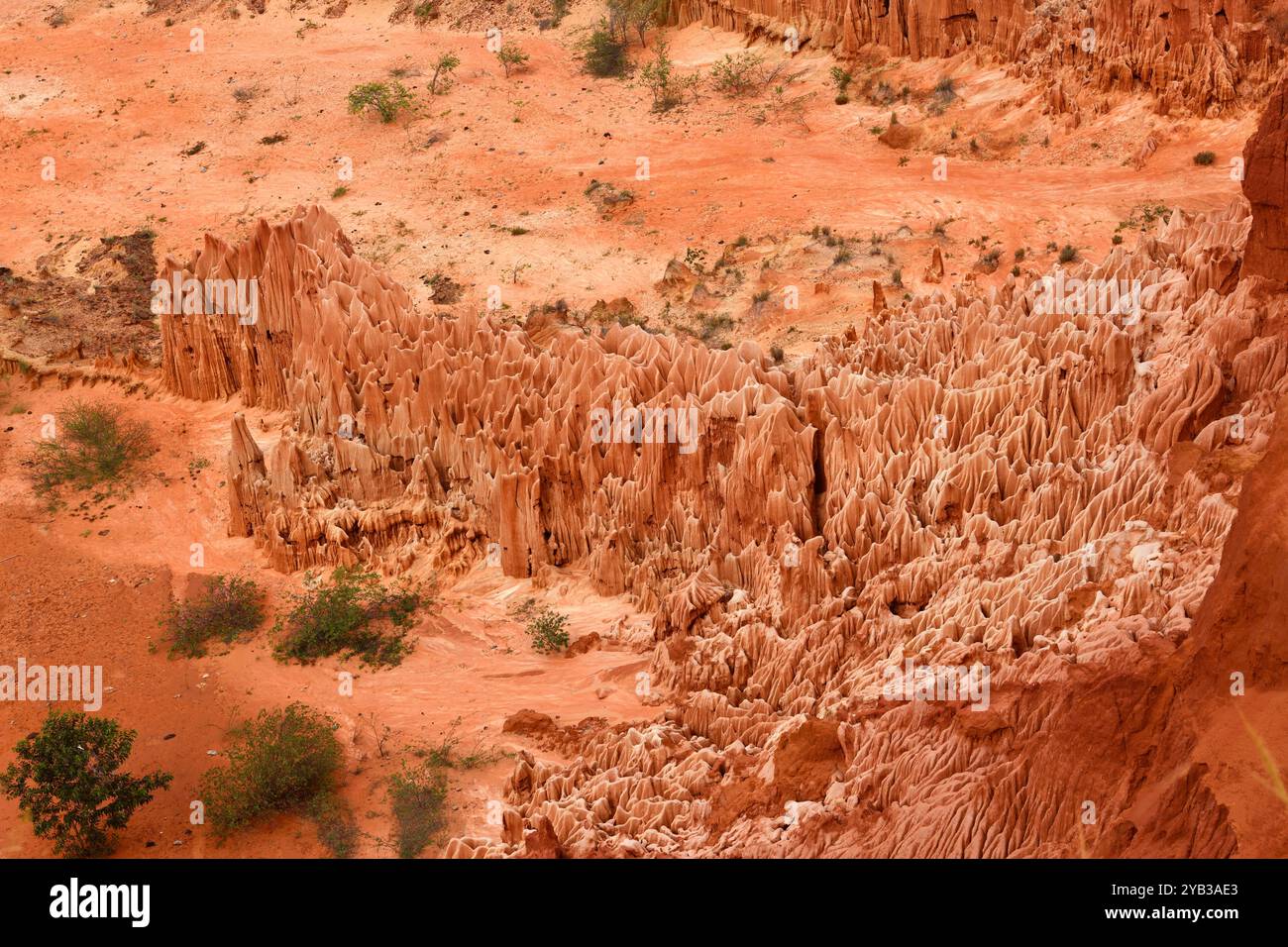 Tsingy Rouge (Red Tsingy) is an eroded laterite formation in Irodo ...