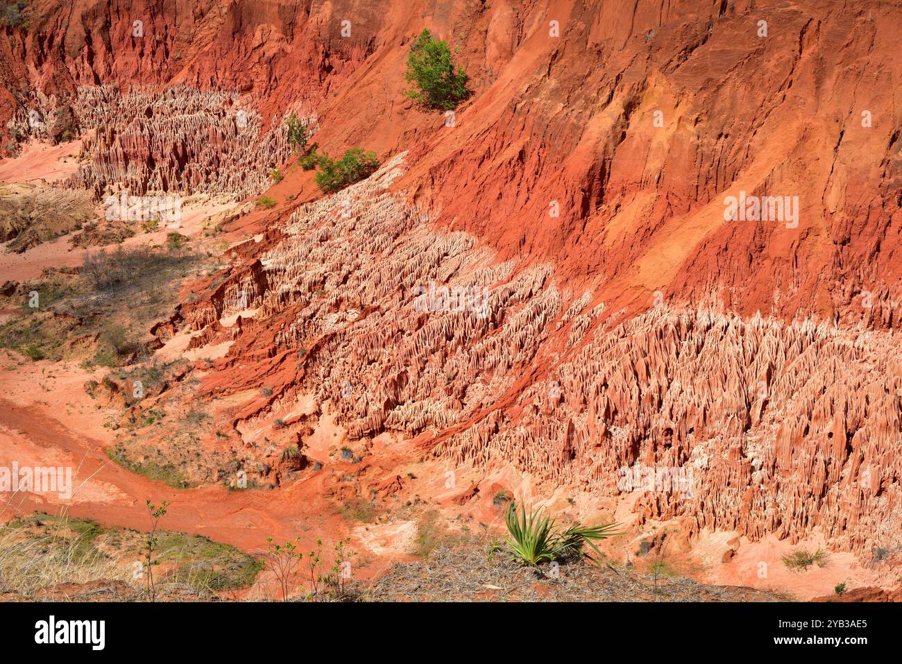 Tsingy Rouge (Red Tsingy) is an eroded laterite formation in Irodo ...