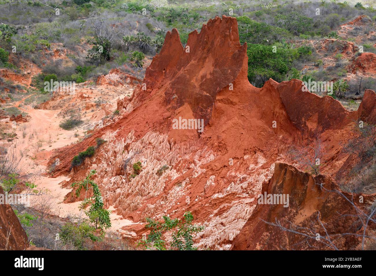 Tsingy Rouge (Red Tsingy) is an eroded laterite formation in Irodo ...