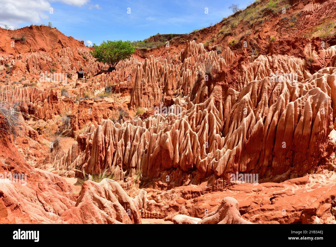 Tsingy Rouge (Red Tsingy) is an eroded laterite formation in Irodo ...