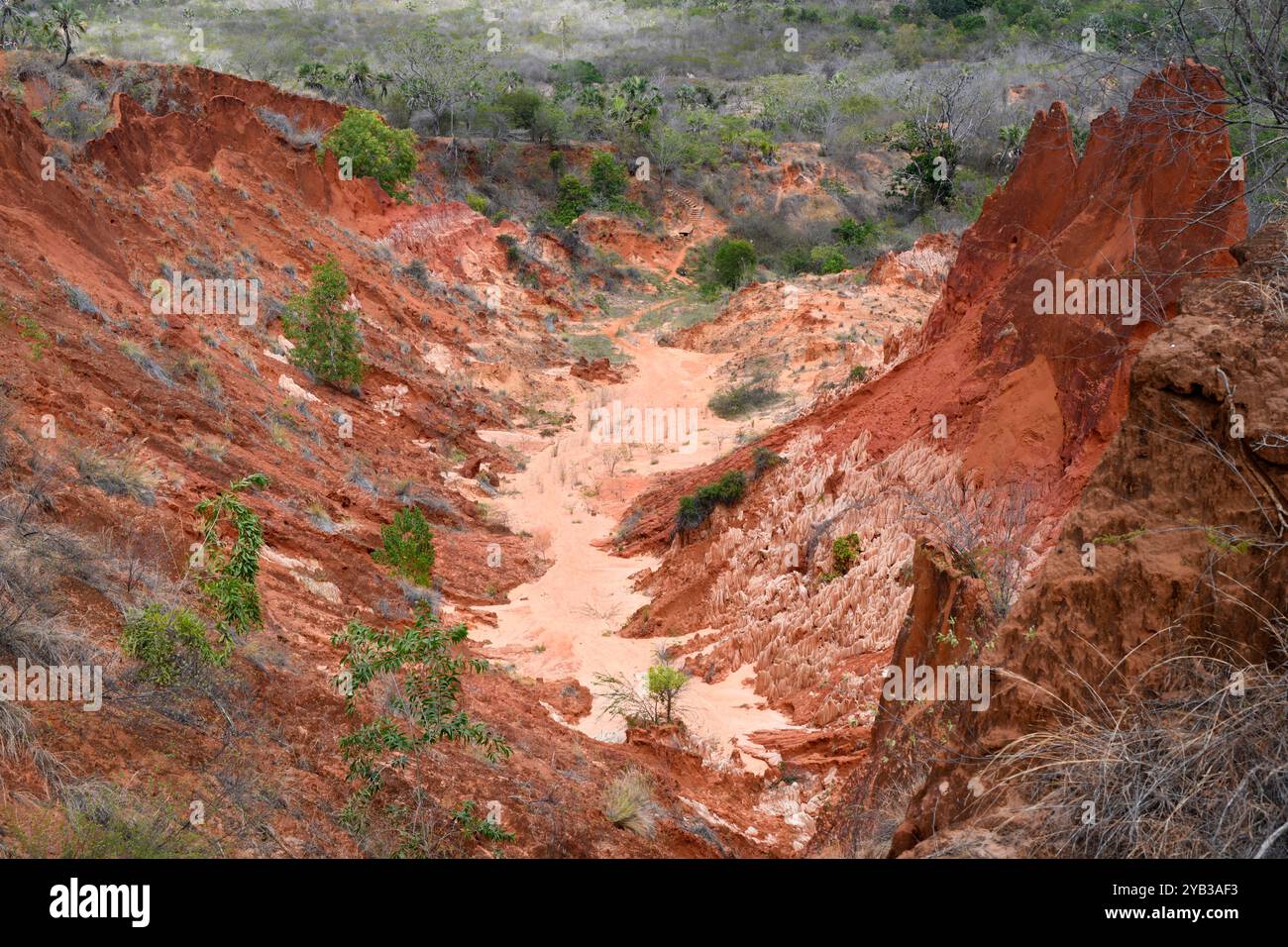 Tsingy Rouge (Red Tsingy) is an eroded laterite formation in Irodo ...