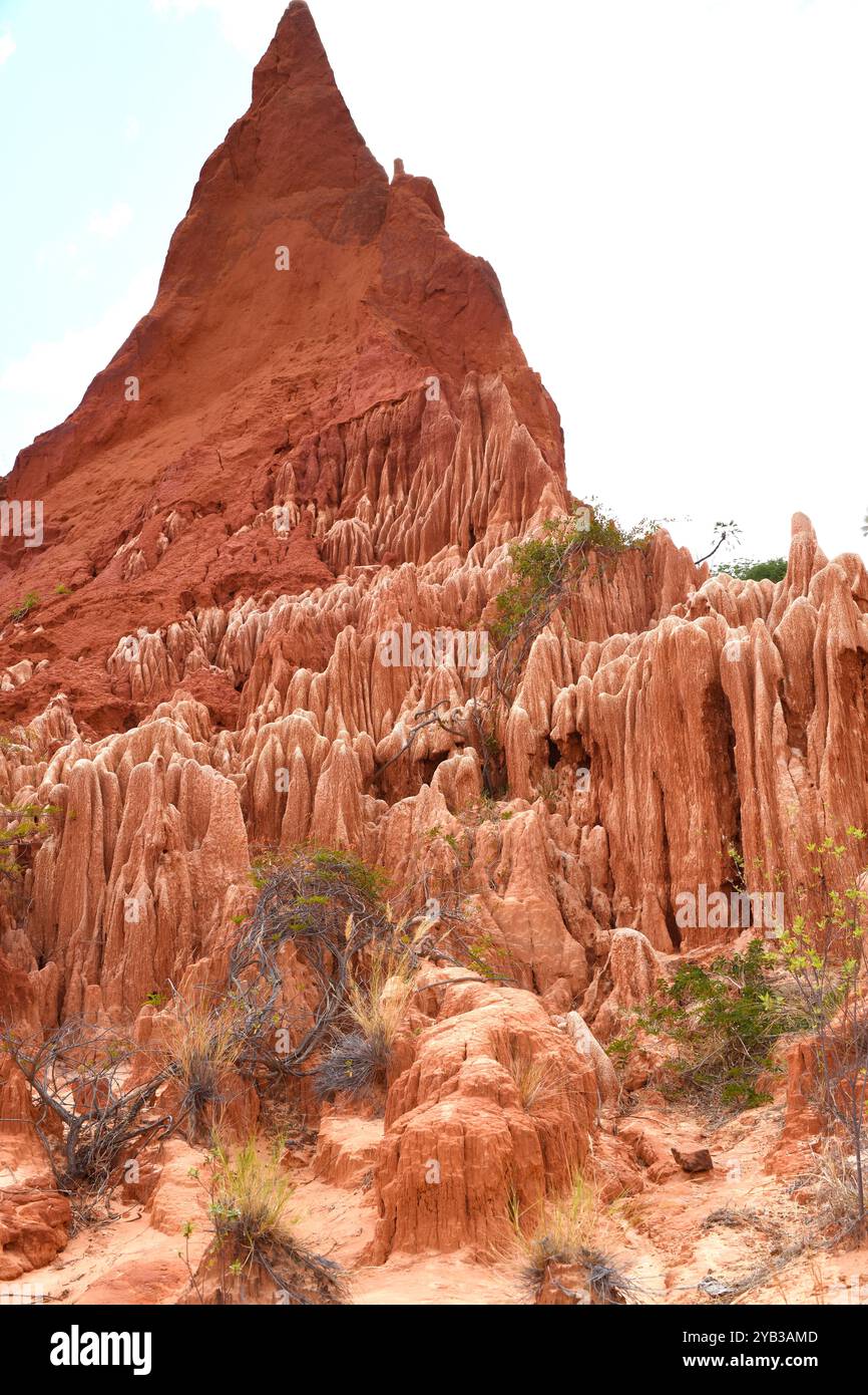 Tsingy Rouge (Red Tsingy) is an eroded laterite formation in Irodo ...