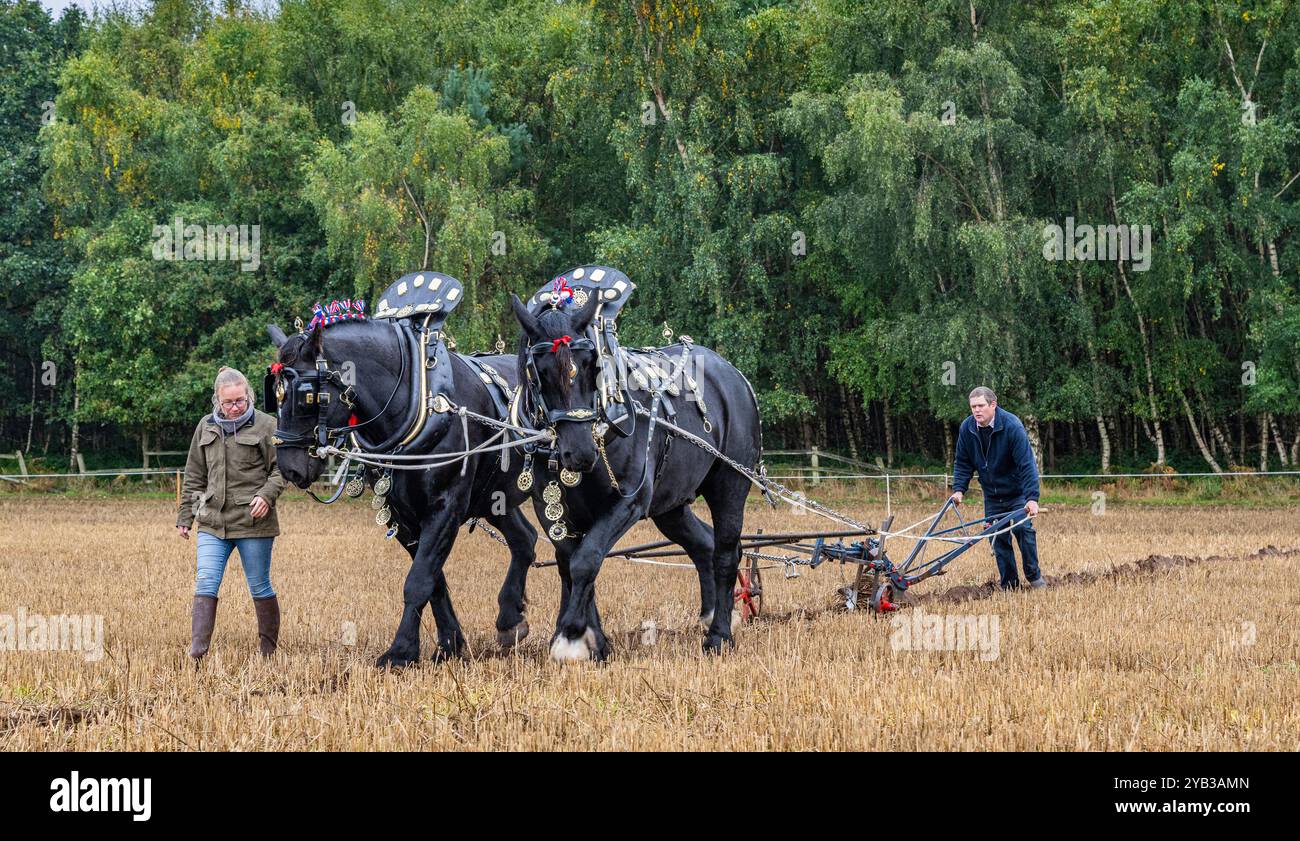 Perlethorpe, Nottinghamshire, The British National Ploughing ...