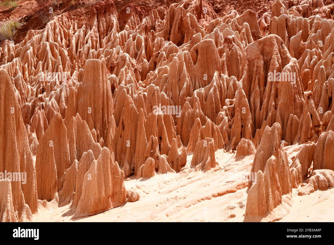 Tsingy Rouge (Red Tsingy) is an eroded laterite formation in Irodo ...