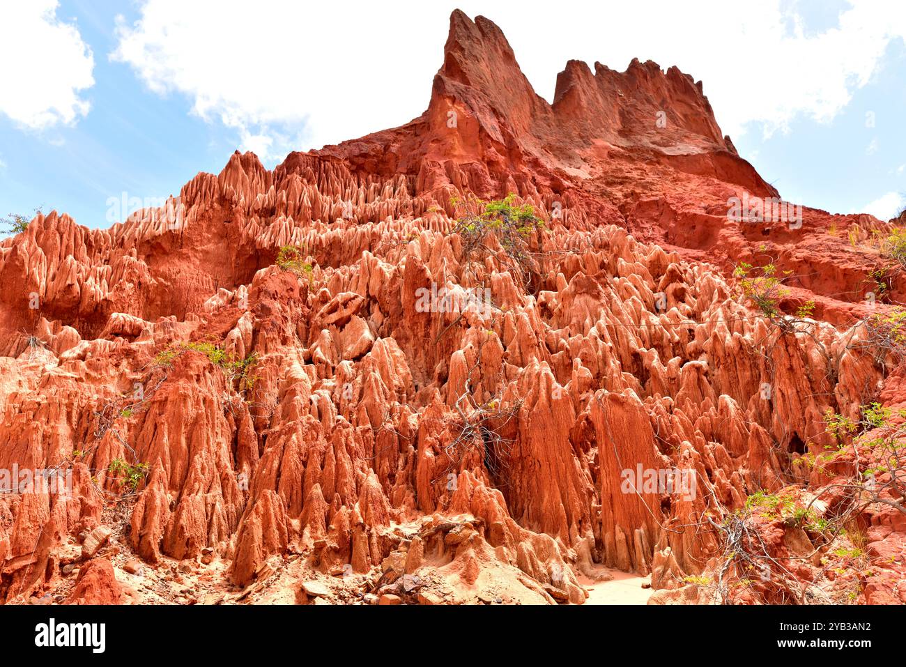 Tsingy Rouge (Red Tsingy) is an eroded laterite formation in Irodo ...