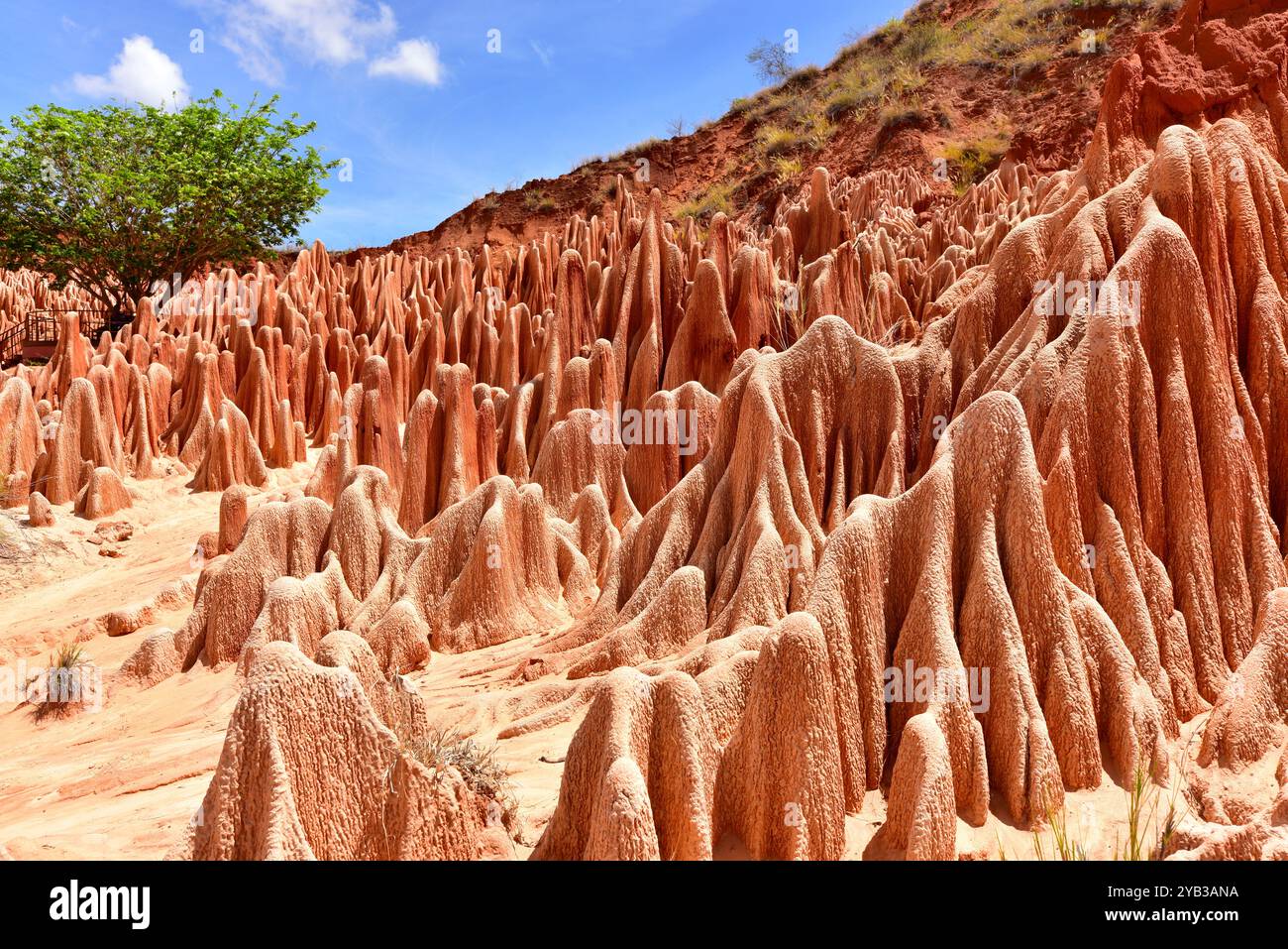 Tsingy Rouge (Red Tsingy) is an eroded laterite formation in Irodo ...