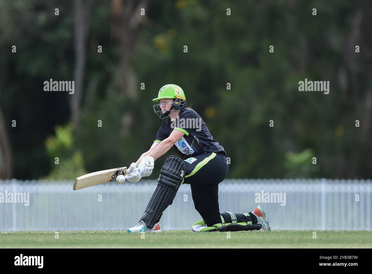 Sydney, Australia. 16th Oct, 2024. Tahlia Wilson of Sydney Thunder bats ...