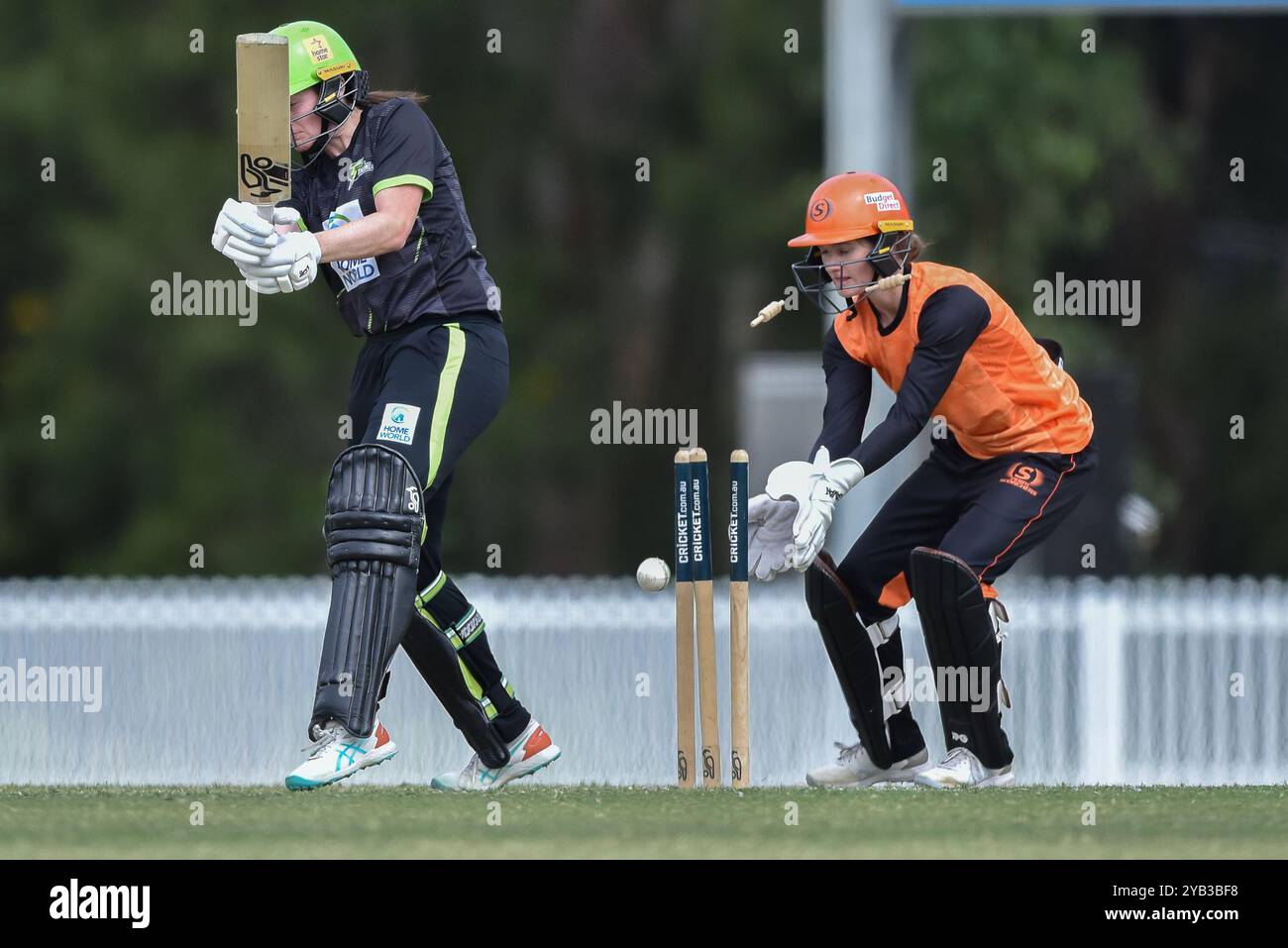 Tahlia Wilson of Sydney Thunder is bowled out by Zoe Britcliffe of the ...