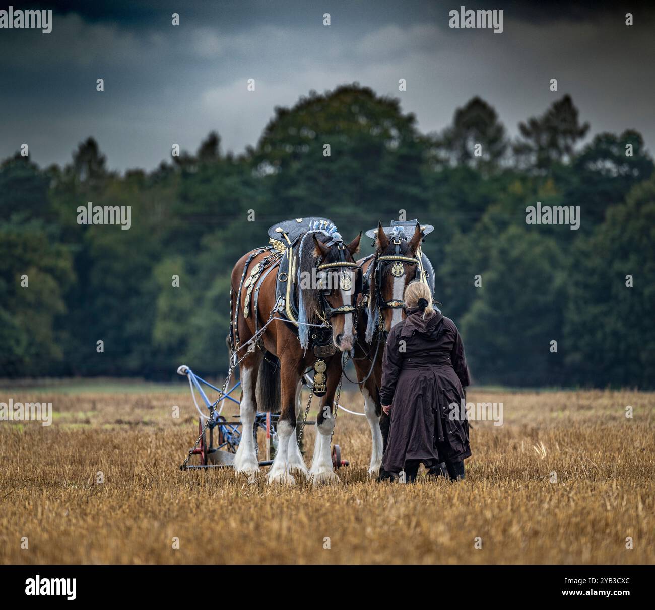 Perlethorpe, Nottinghamshire, The British National Ploughing ...