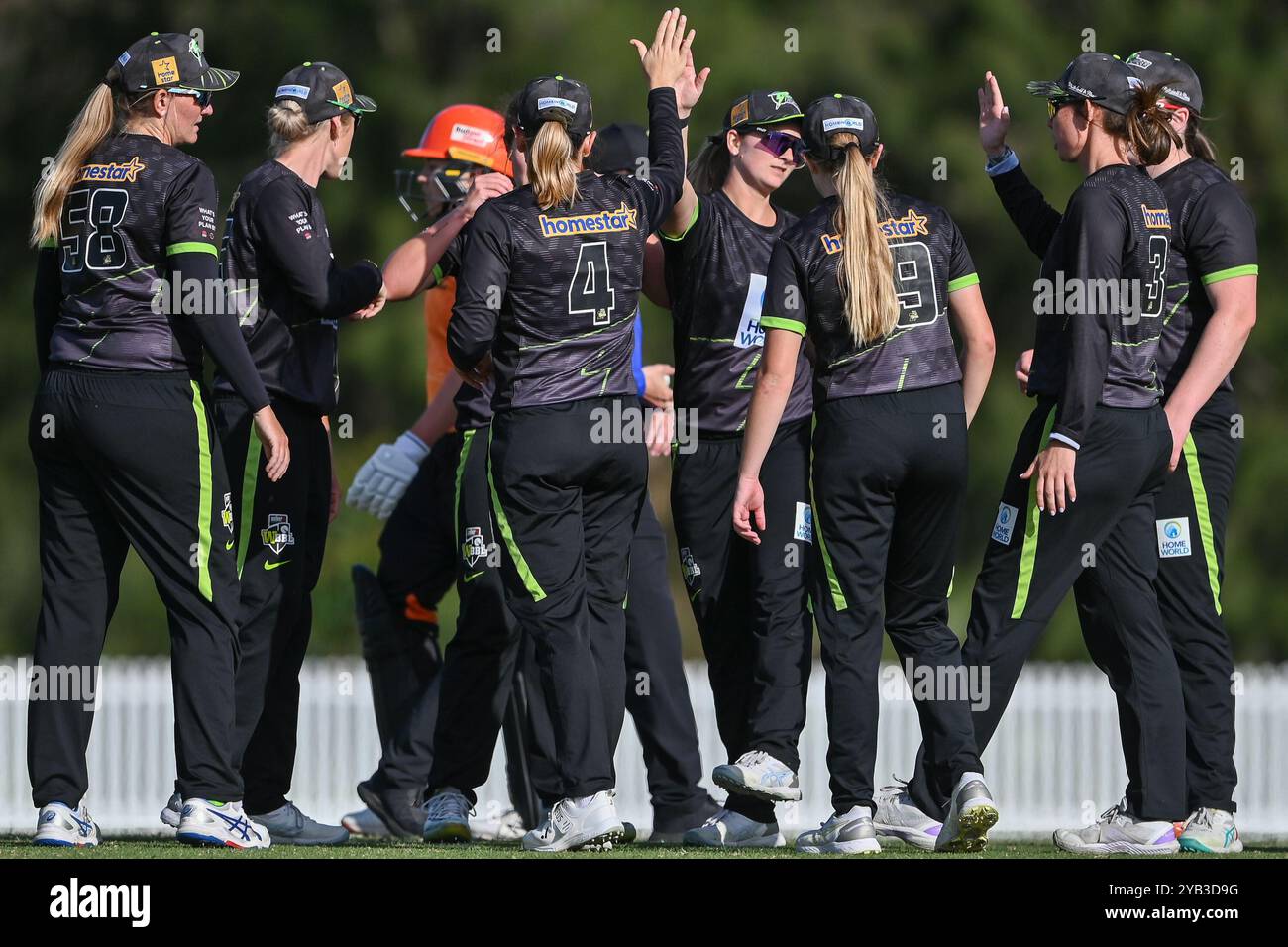 Sydney Thunder team players celebrate Sam Bates a score during the T20 ...
