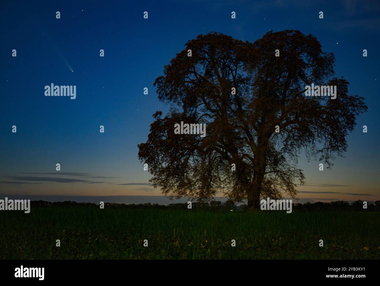 Lietzen, Germany. 16th Oct, 2024. The comet Tsuchinshan-Atlas can be ...