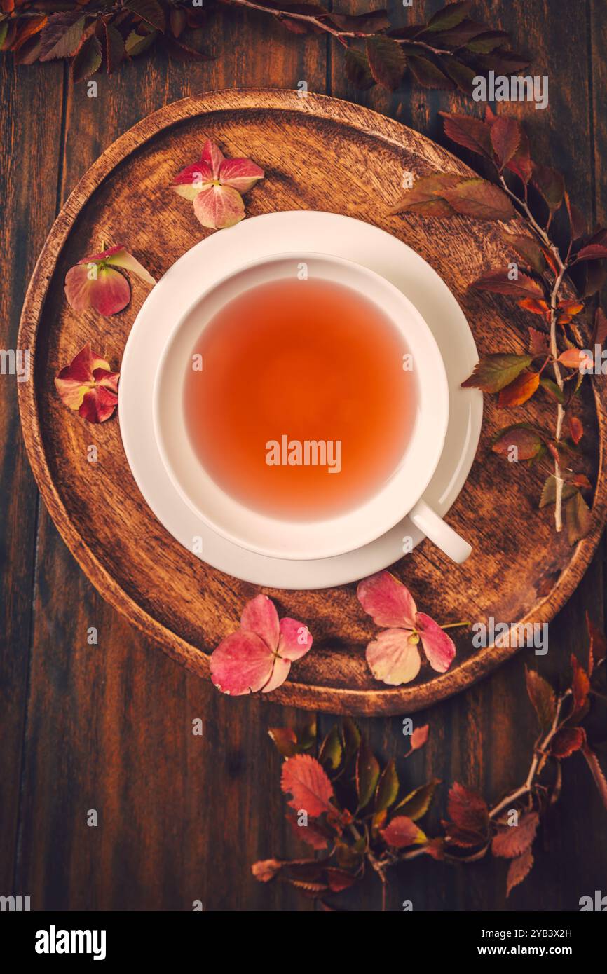 Tea party autumn table hi-res stock photography and images - Alamy