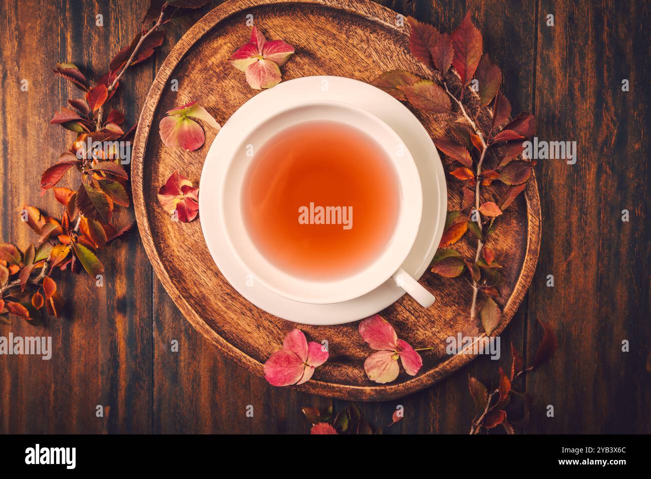 Tea in autumn hi-res stock photography and images - Alamy
