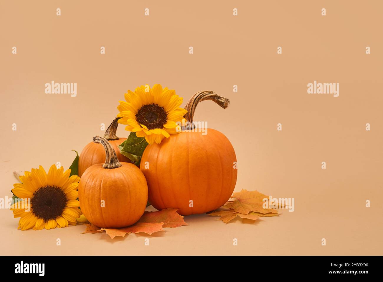 Thanksgiving day, harvest, autumn and fall background Stock Photo - Alamy