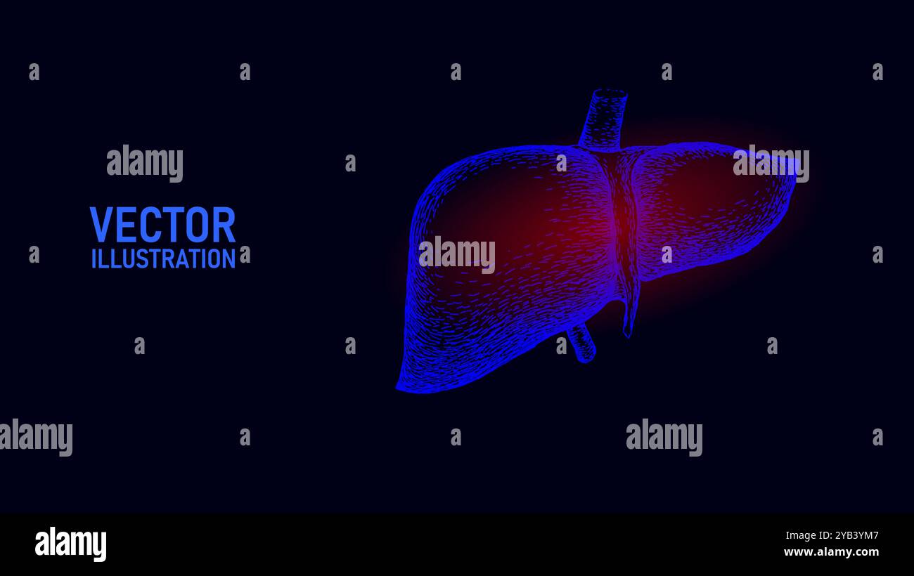 Drawing line art anatomical human liver silhouette. Healthy medicine ...