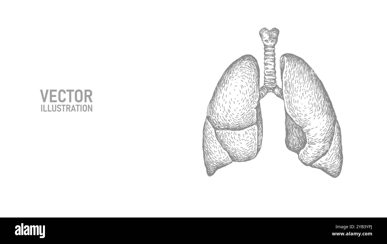 Tuberculosis drawing Cut Out Stock Images & Pictures - Alamy