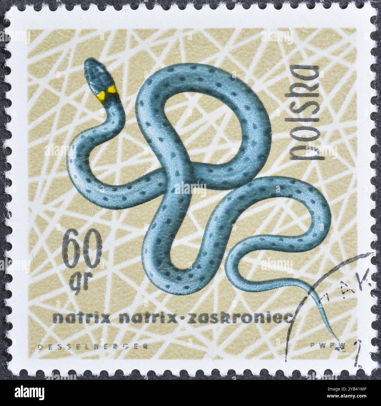 Cancelled postage stamp printed by Poland, that shows European Grass ...