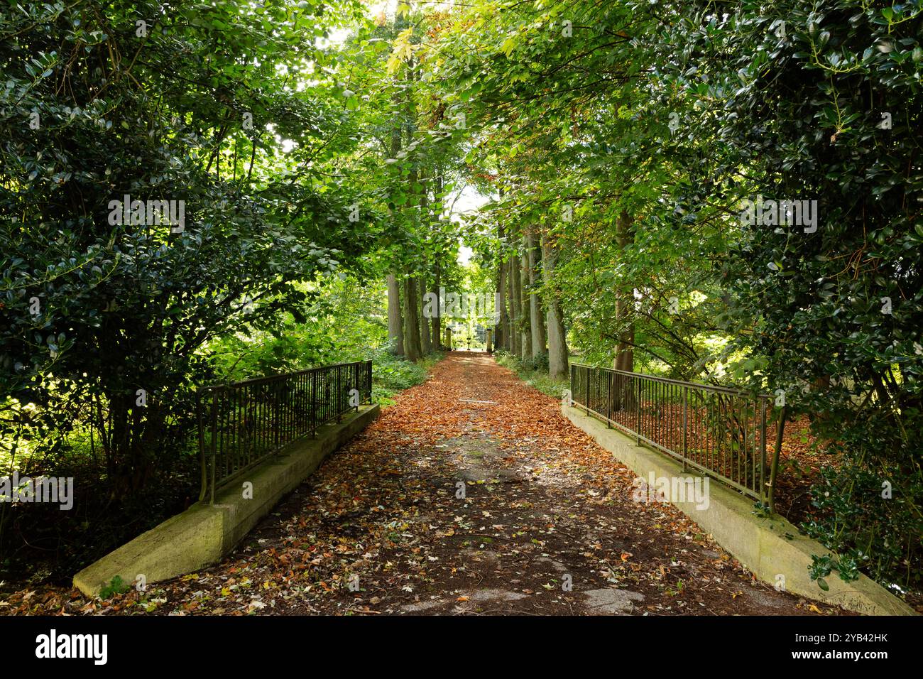 Grass covered concrete driveway hi-res stock photography and images - Alamy