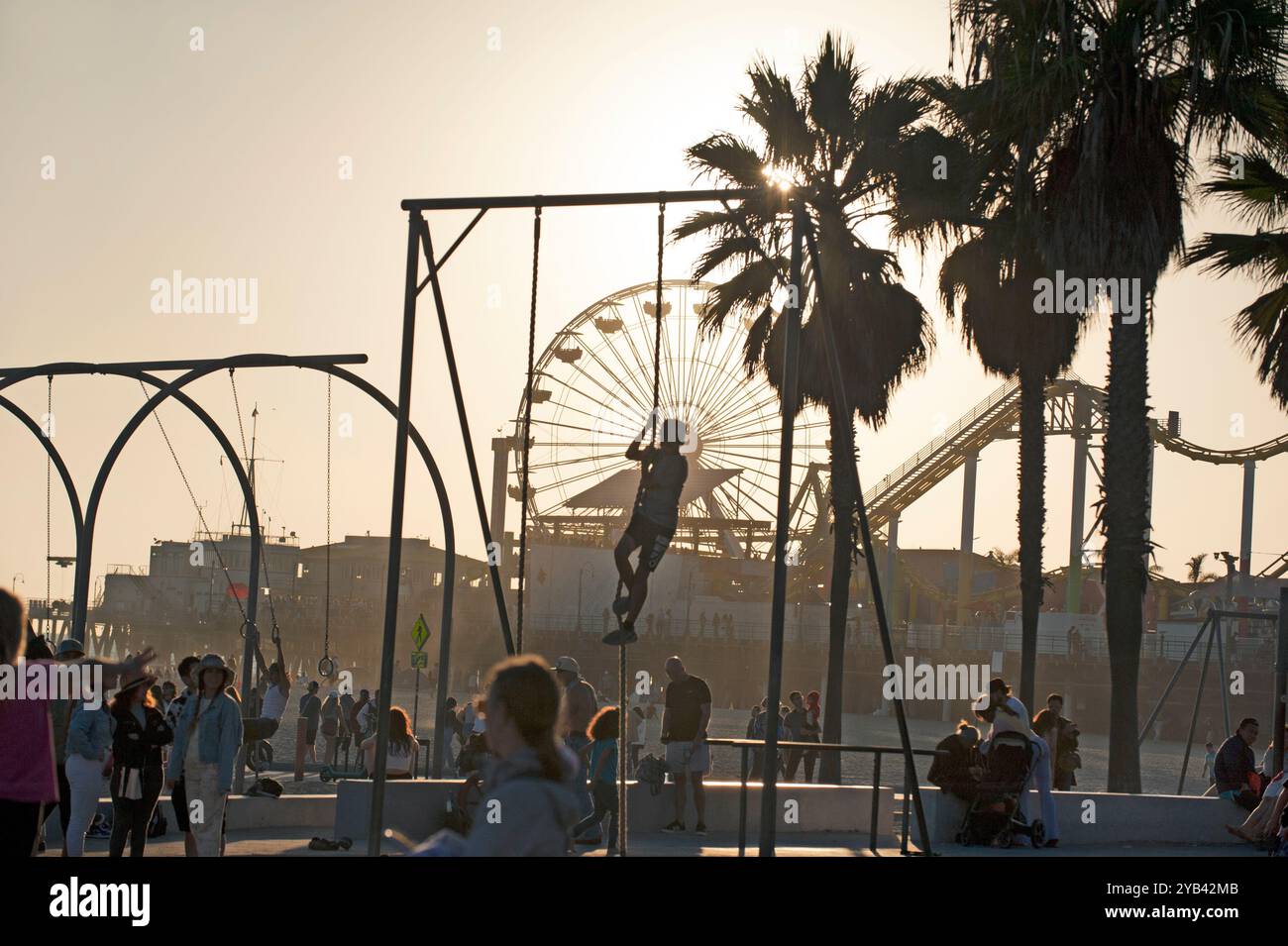 sunset, Pier, ferris wheel, people, crowd, palm trees, Muscle Beach ...