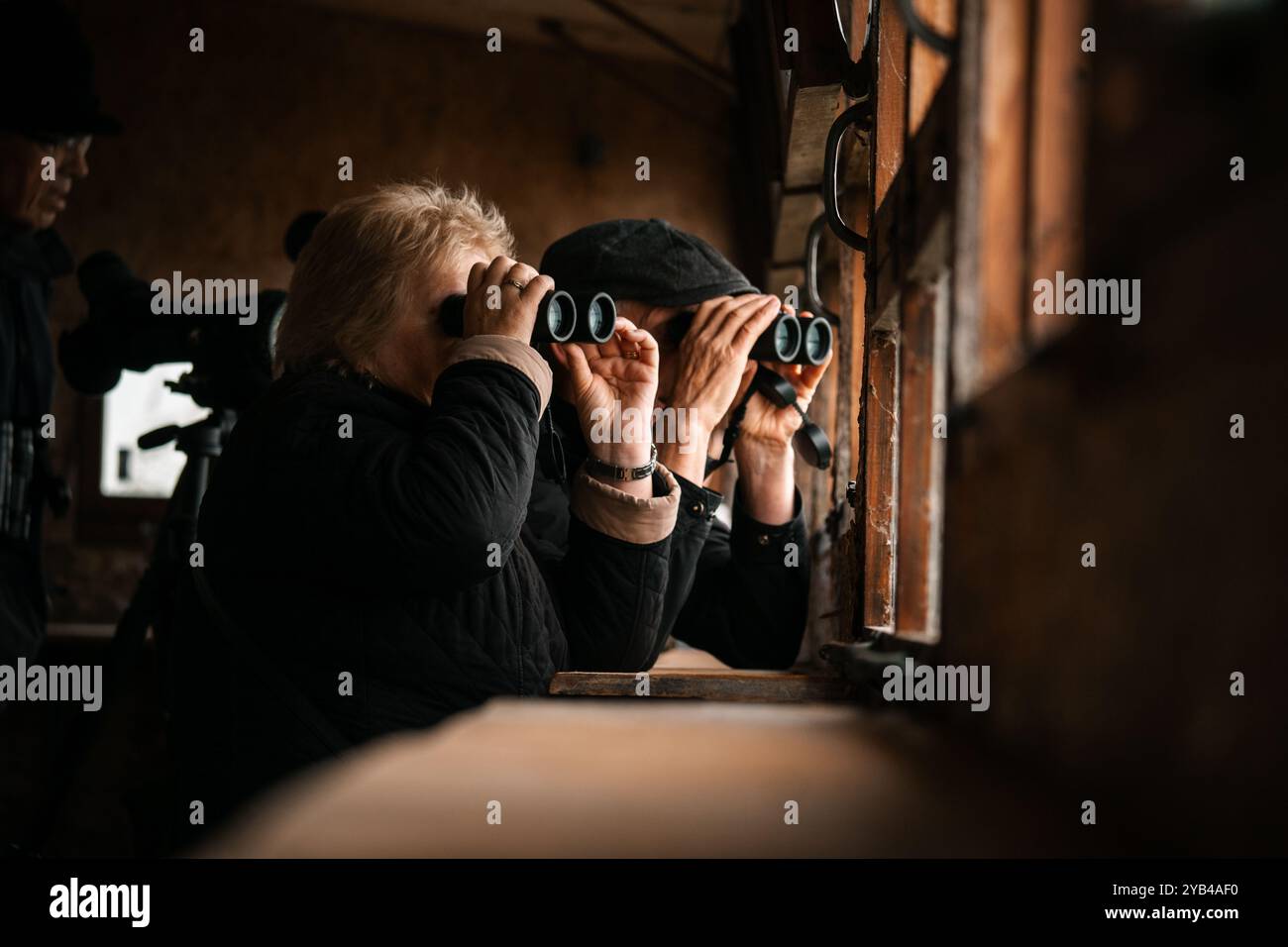 Birdwatching with binoculars in a bird hide Stock Photo - Alamy