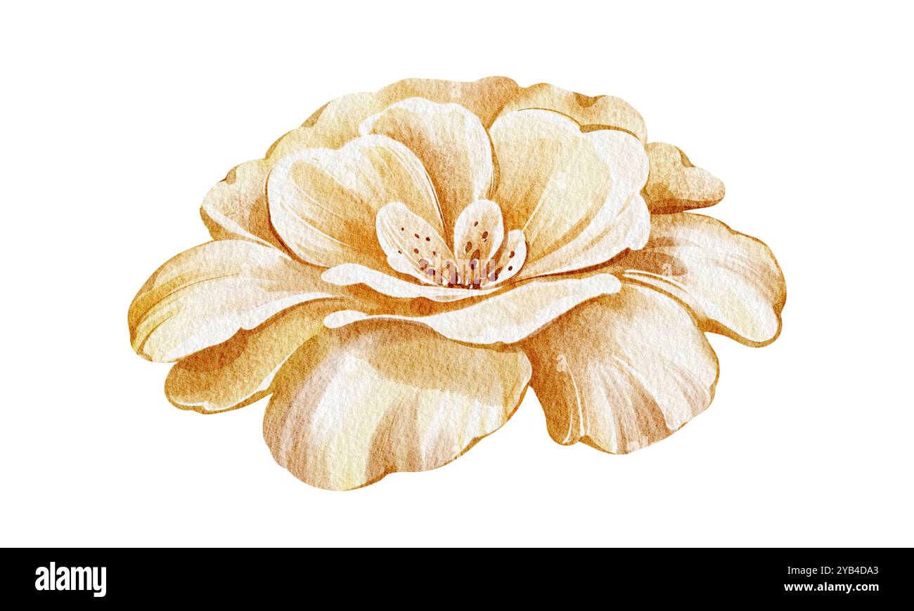 Single yellow flower watercolor illustration Stock Photo - Alamy