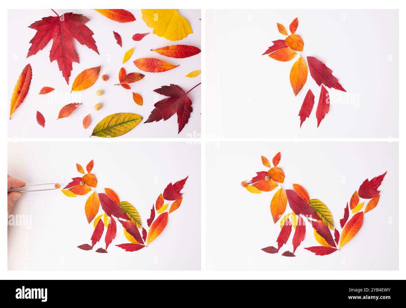 Autumn DIY nature craft for kids, fox made out of leaf, top view ...