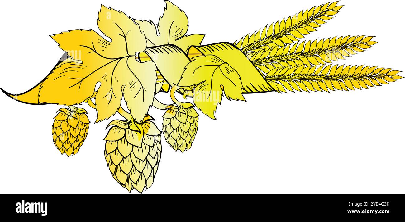 Vector hops with wheat vector illustration Stock Vector Image & Art - Alamy