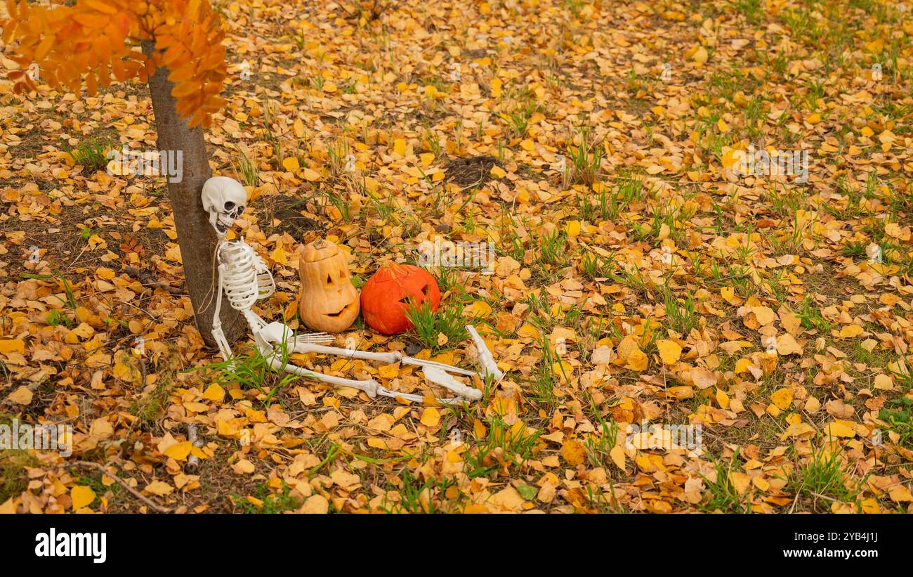 Halloween decorations under a tree in an autumn forest Stock Photo - Alamy