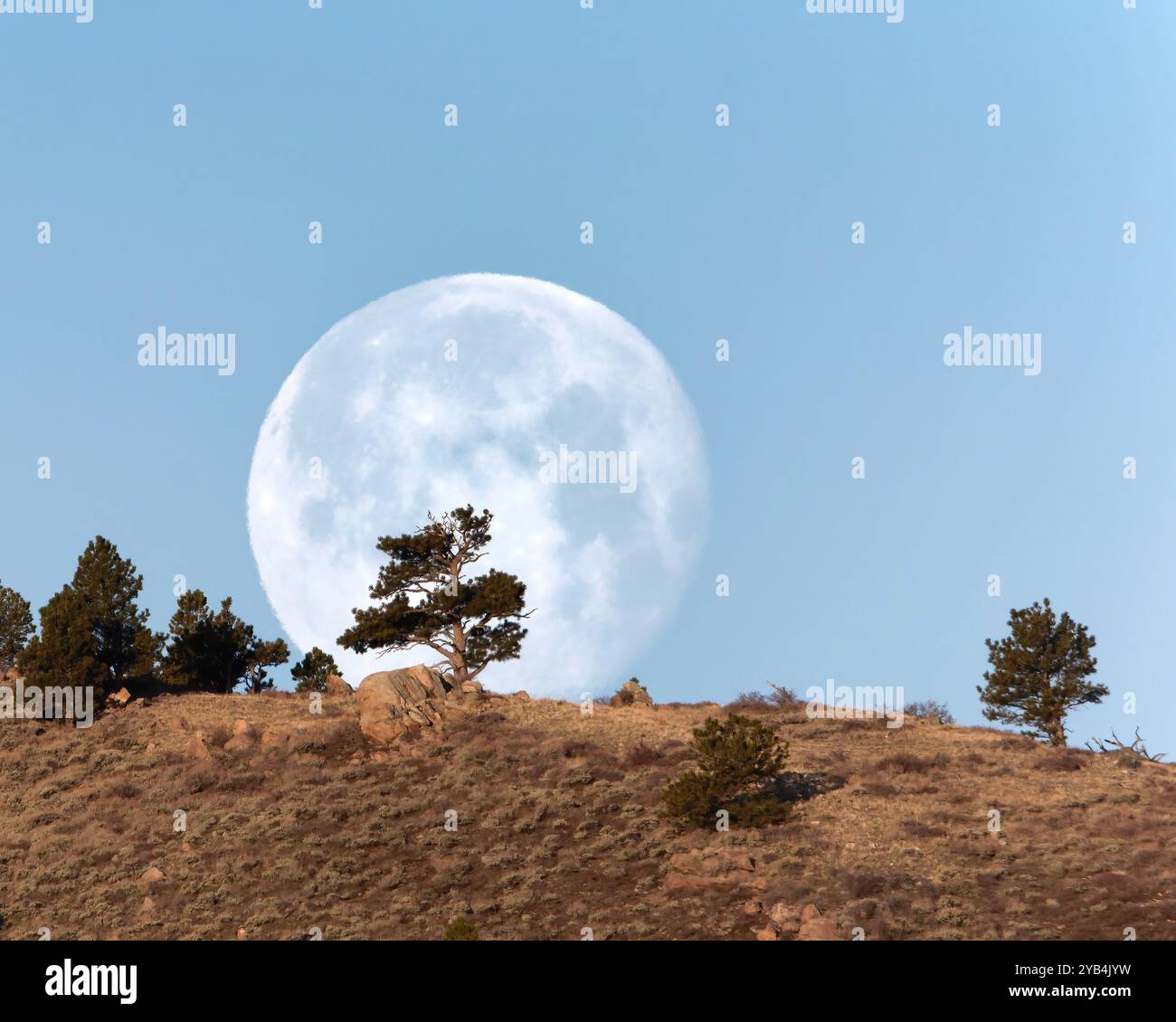 Full moon pink sky hi-res stock photography and images - Alamy