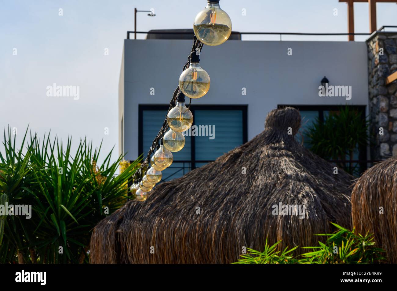 Colorful lanterns hang above a lush garden featuring thatched roofing ...