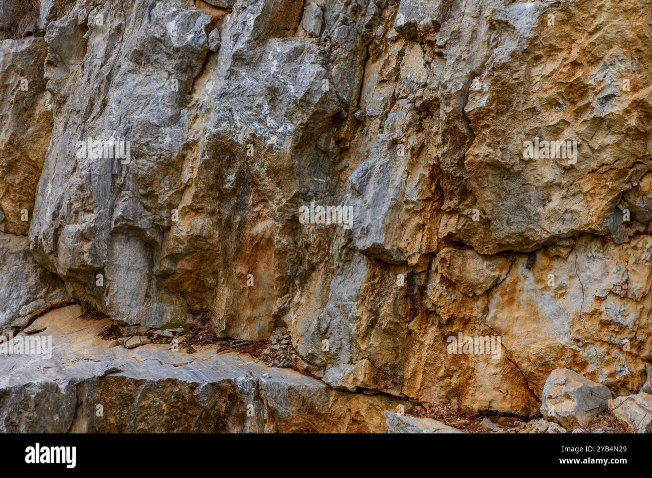 The surface of rocky terrain reveals intricate textures and colors ...