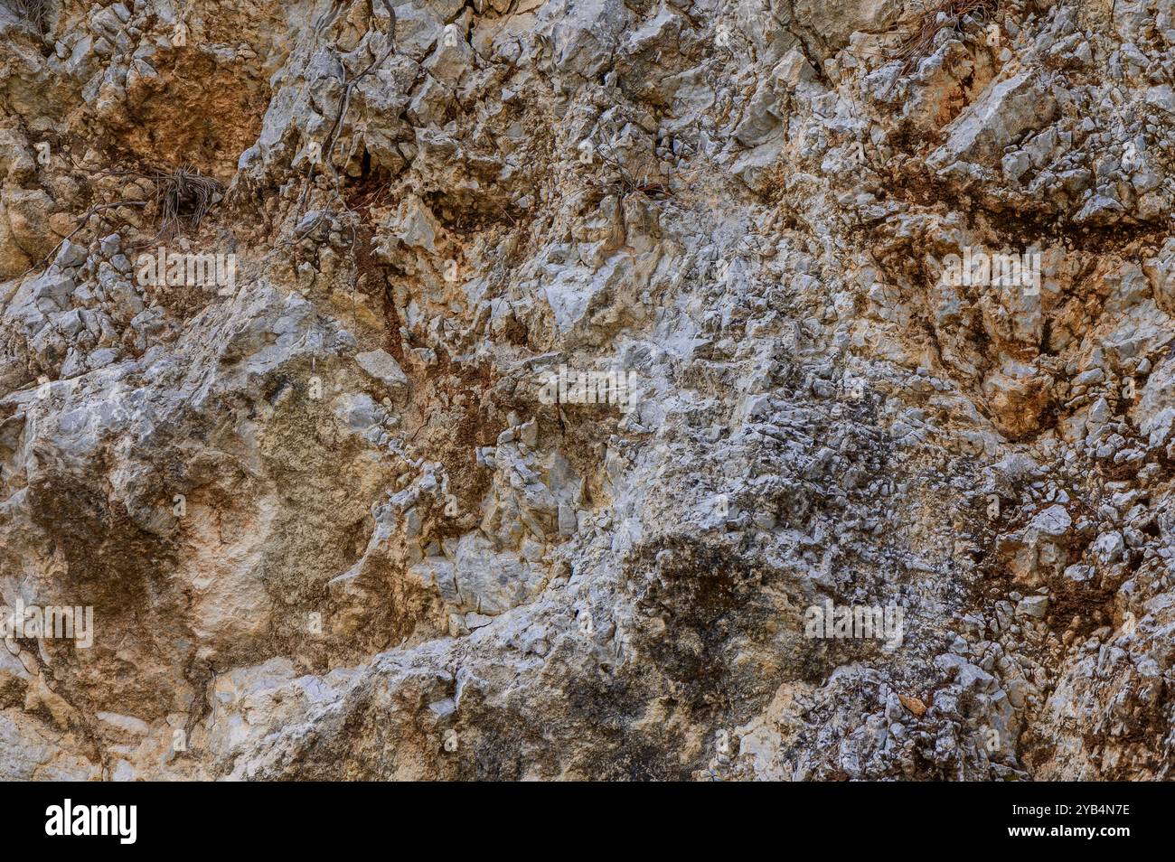 The rugged rock surface reveals intricate textures and natural color ...