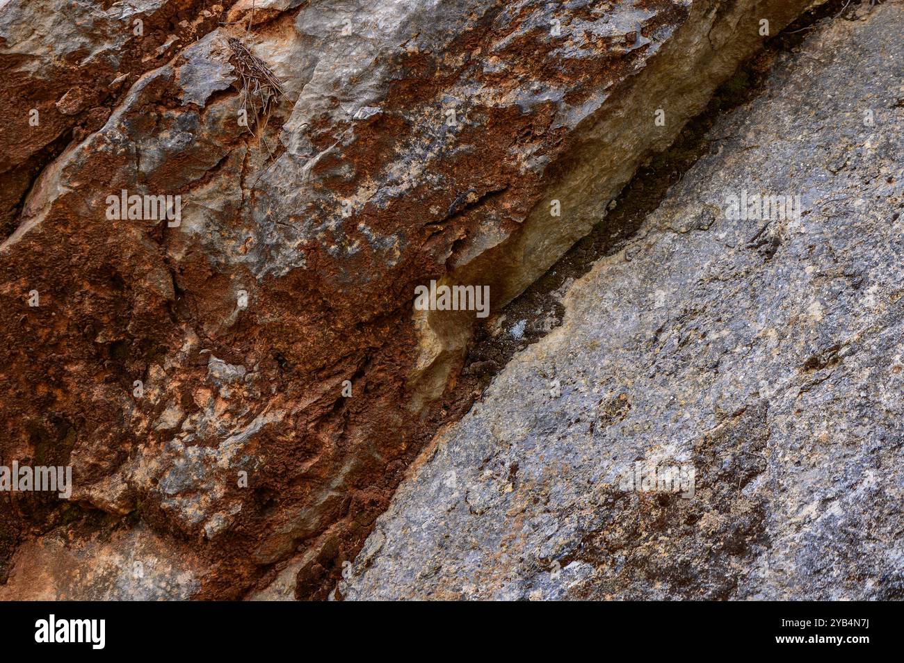 Sunlight illuminates the rugged surface of rocks, revealing intricate ...