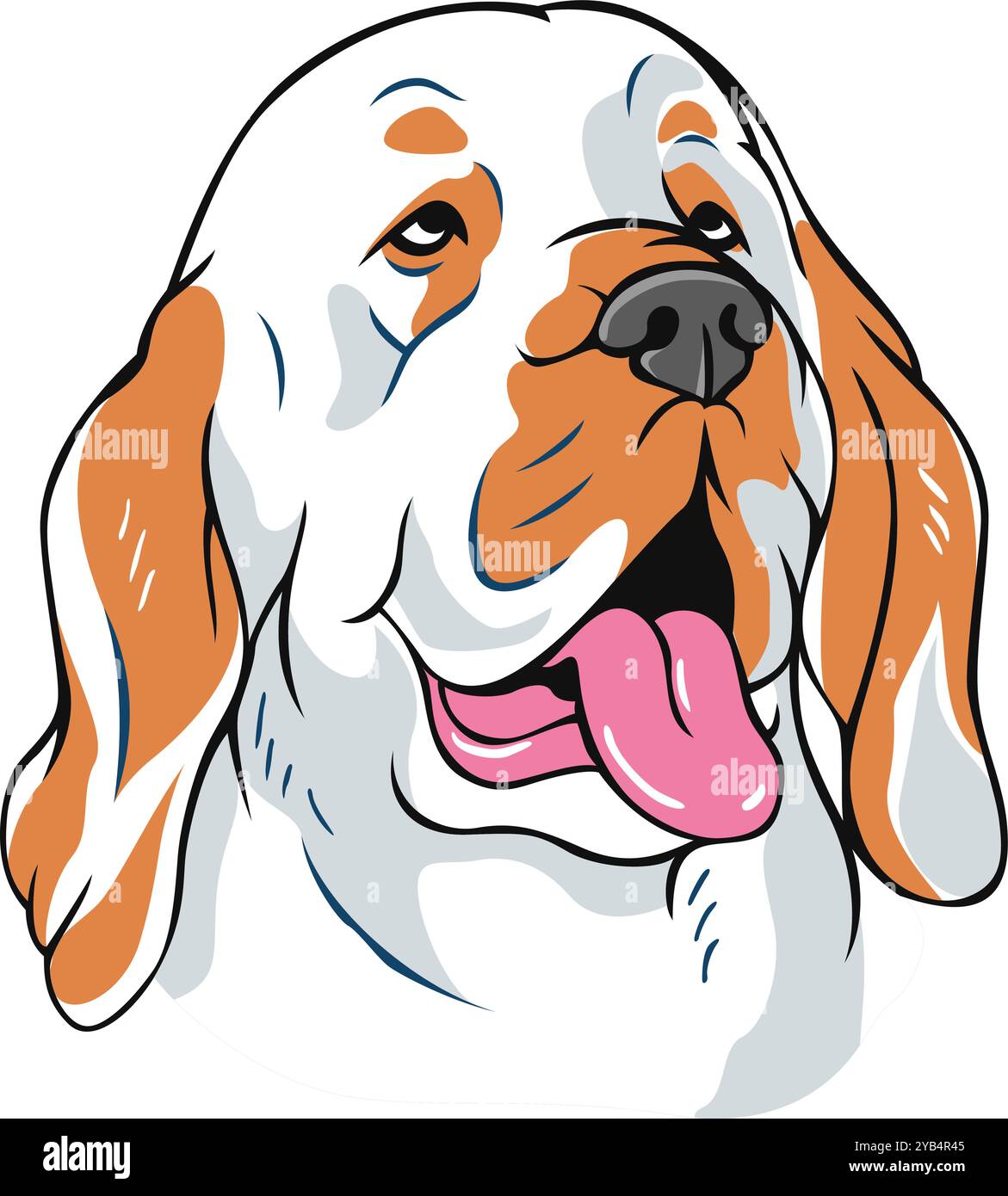 Funny spaniel long tongue hi-res stock photography and images - Alamy