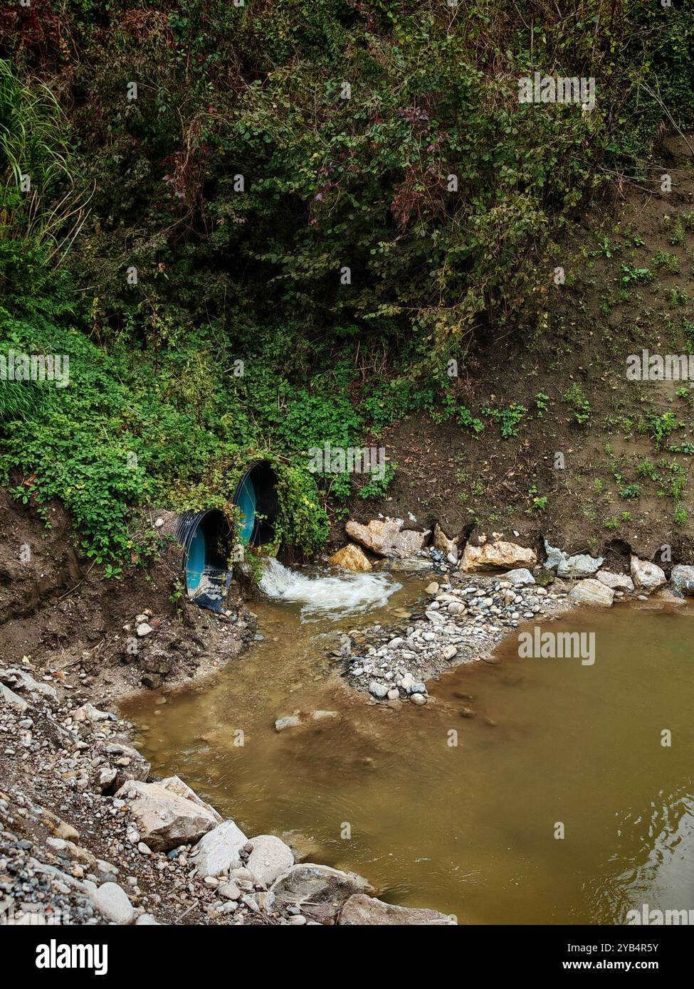 renaturation or ecological restoration by architecture in damaged or ...