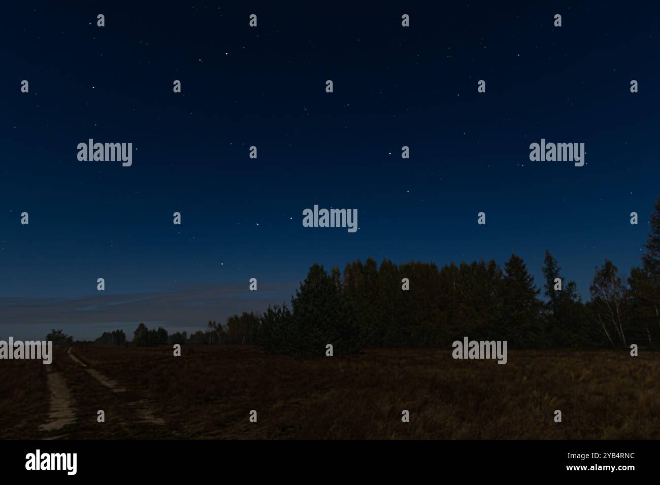 Starry night sky over a quiet rural field and forest path. The clear ...