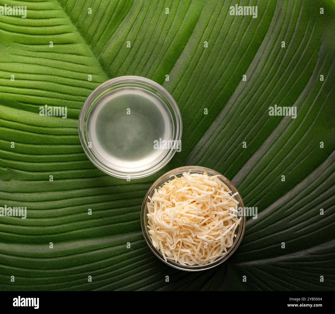 Cocos nucifera - Natural fresh coconut water in glass bowl Stock Photo ...