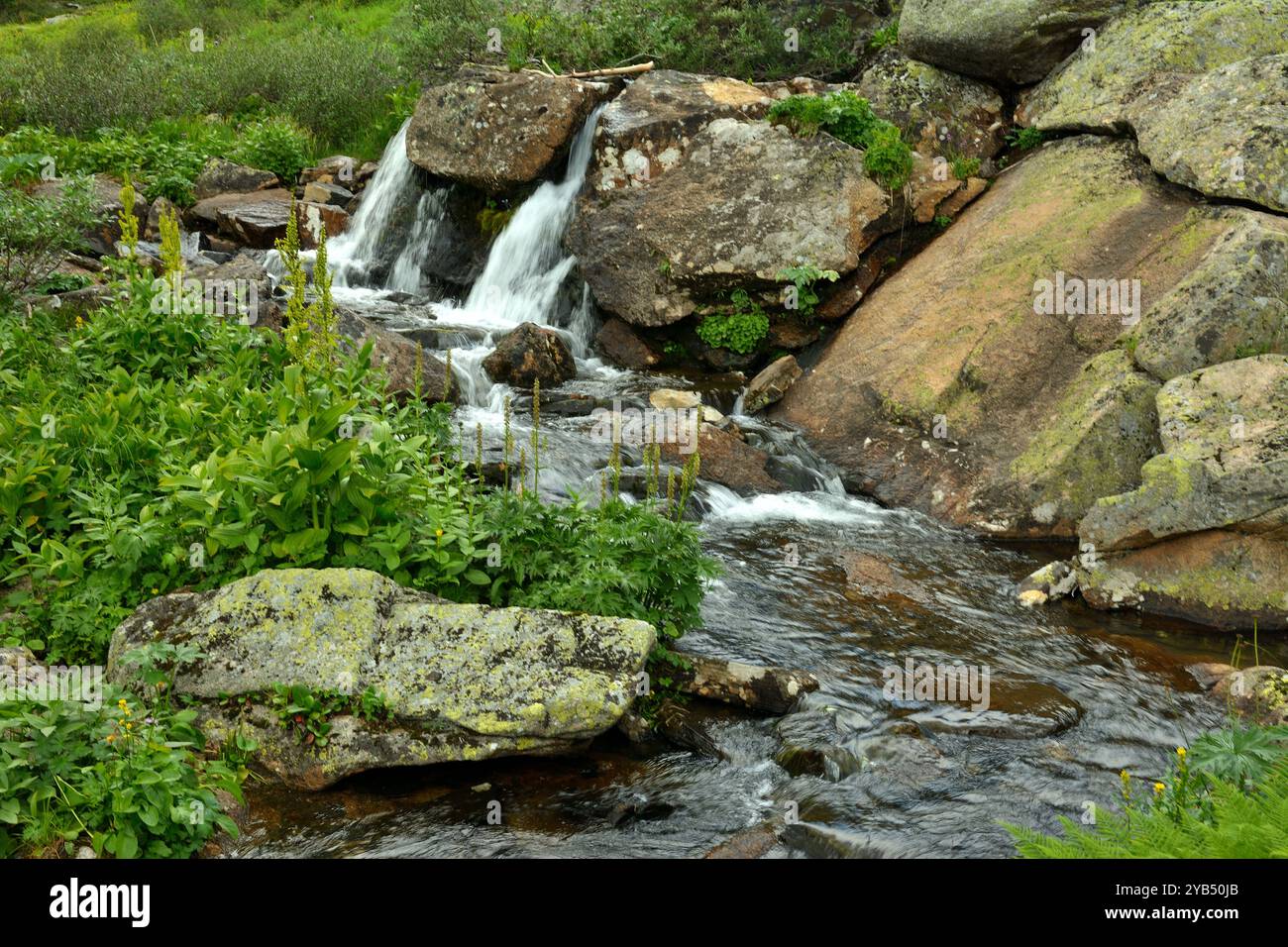 Beauty waterfall moving on stones hi-res stock photography and images ...