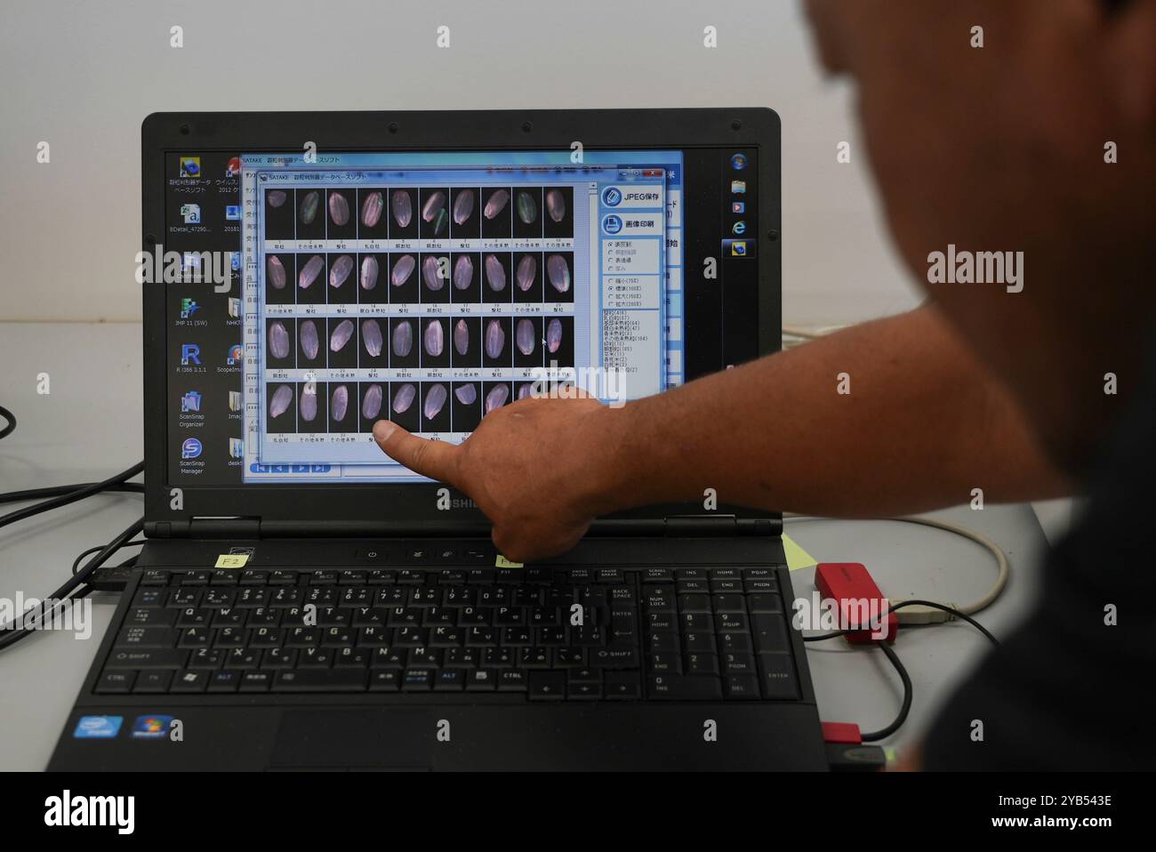 A laptop screen displays comparison photos of rice kernels from ...
