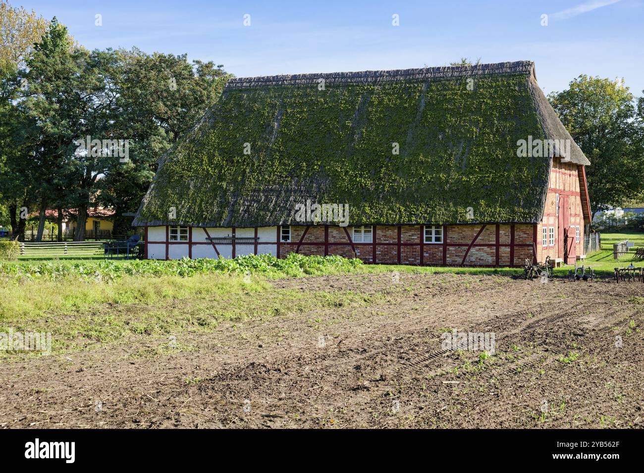 Historic Selmsdorf farmhouse, Klockenhagen open-air museum, historic ...