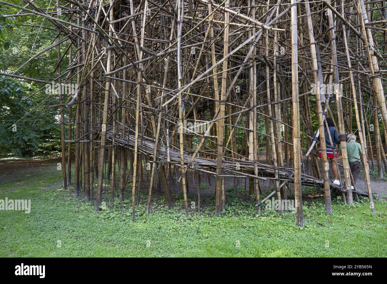 Complex bamboo installation in the middle of a green park, bamboo ...