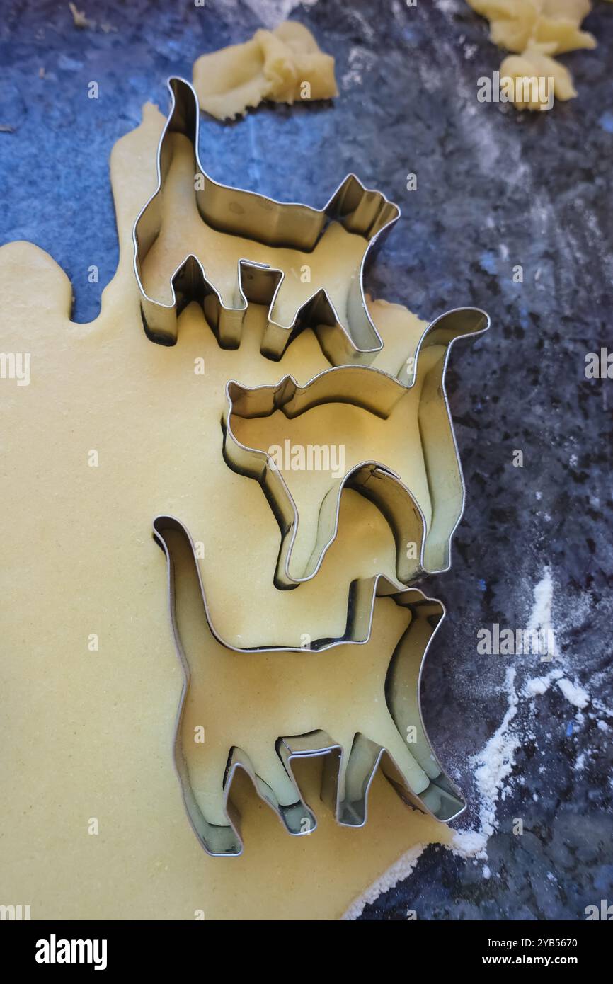 Swabian cuisine, Swabian Christmas biscuits, preparation of cookie ...