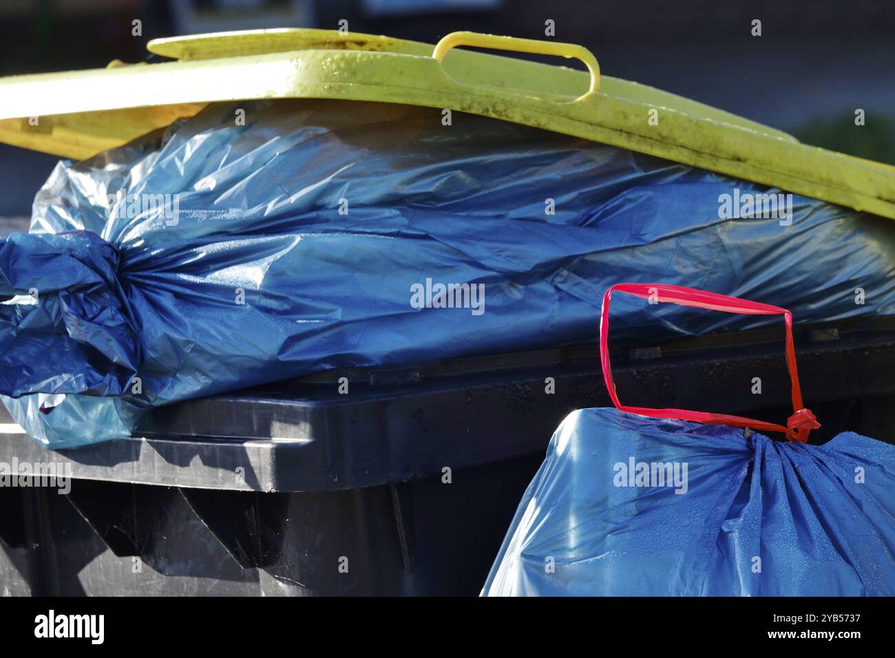 Waste disposal, waste bin, Germany, Europe Stock Photo - Alamy