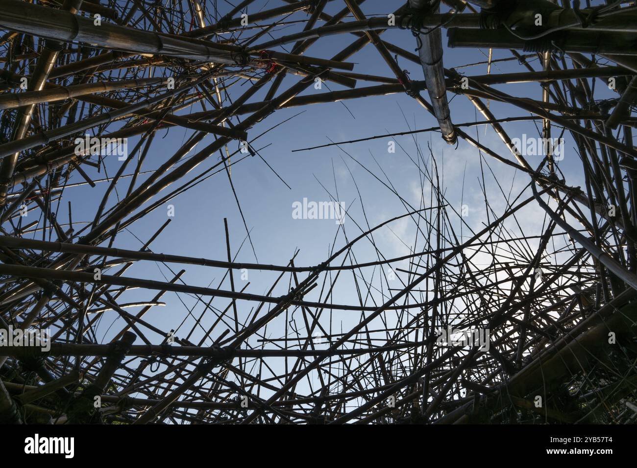 View through a complex bamboo installation into the blue sky, bamboo ...