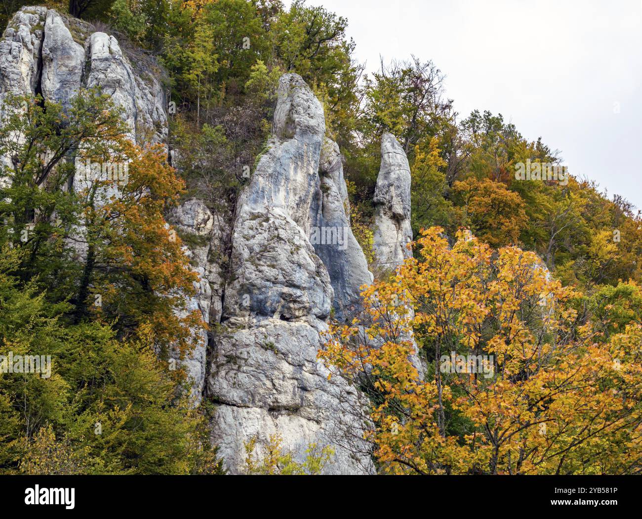 Swabian Alb in autumn, Albtrauf with colourful mixed forest and rocky ...