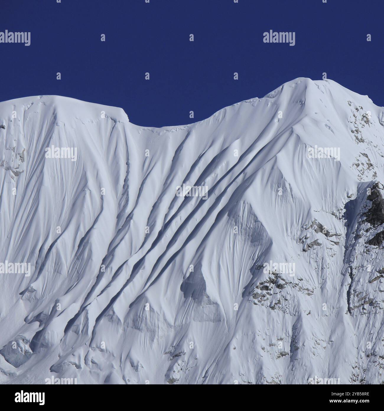 Beautiful shaped detail mount hi-res stock photography and images - Alamy