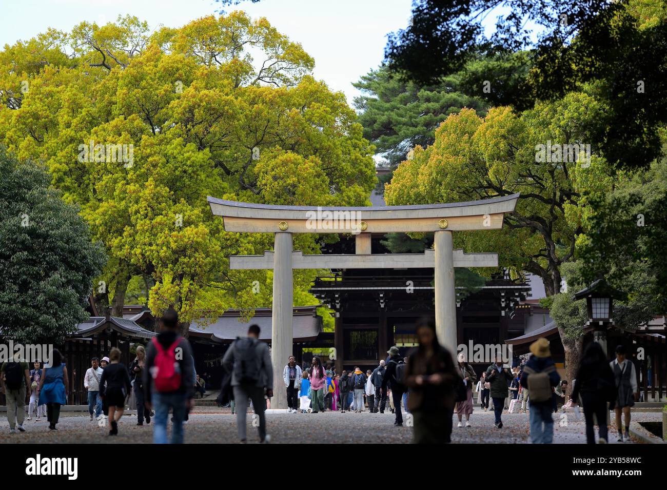 The historic Meiji Shrine inner precinct, Tokyo Shibuya JP Stock Photo ...