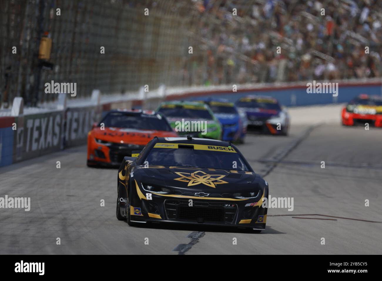 NASCAR Cup Series Driver, Kyle Busch (8) races for the Autotrader ...