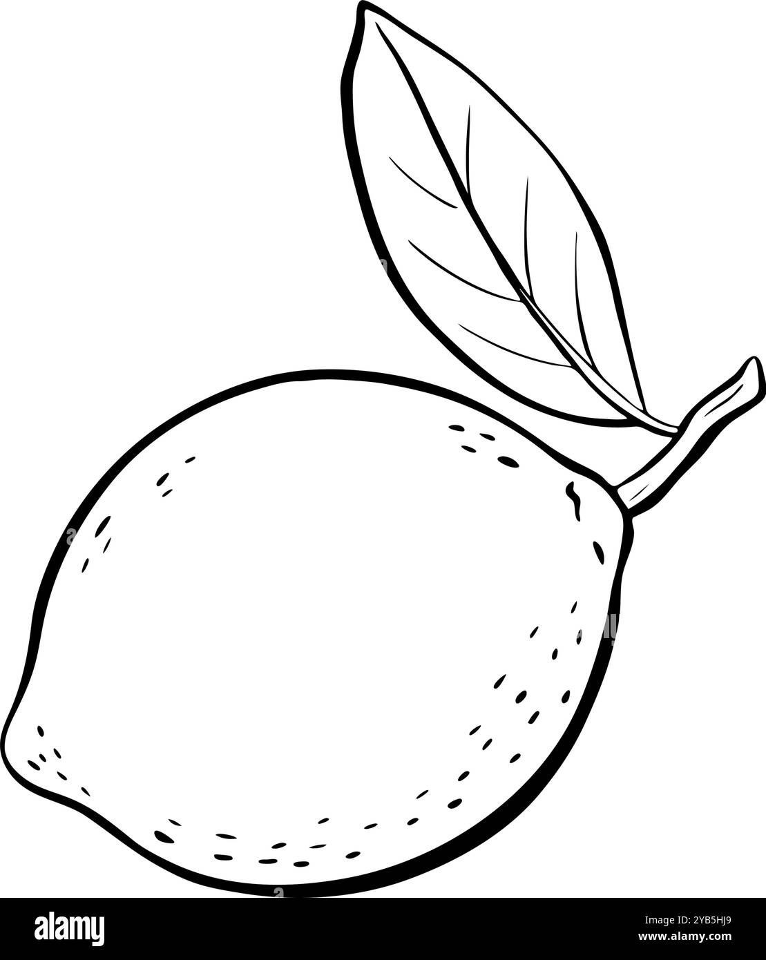 An Illustration of a Fresh Lemon with Leaf, Vector sketch illustration ...